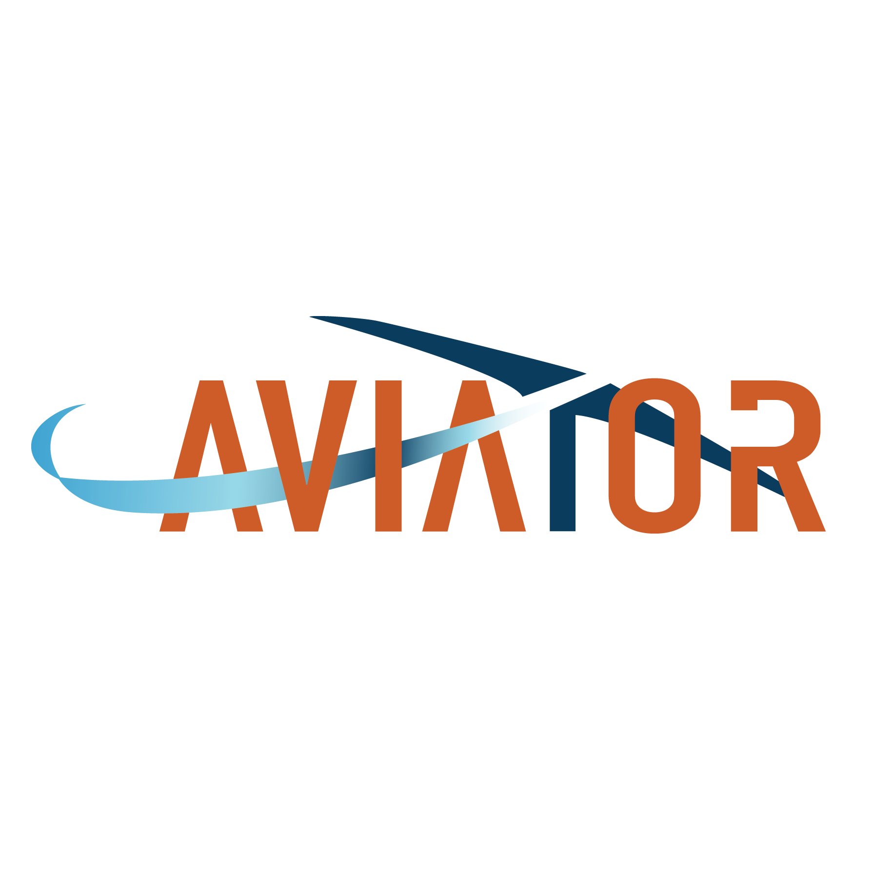 Category: Aviator - Recreational Aviation Australia